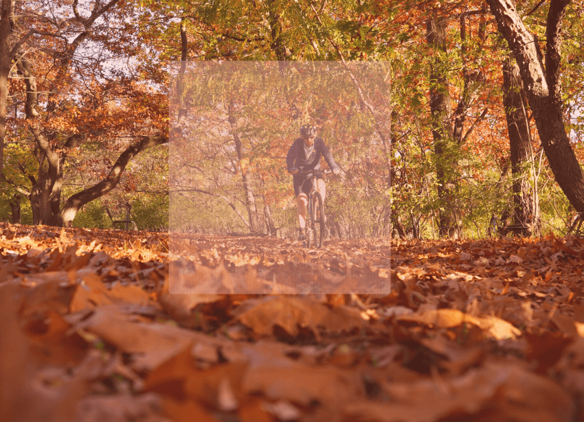 Bike and electric bike rentals throughout France | Lokki